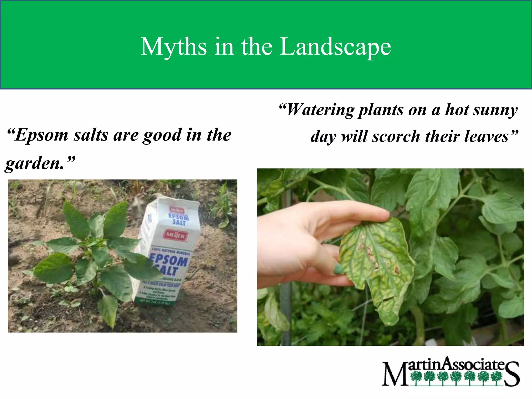 Landscape Myths | PPT