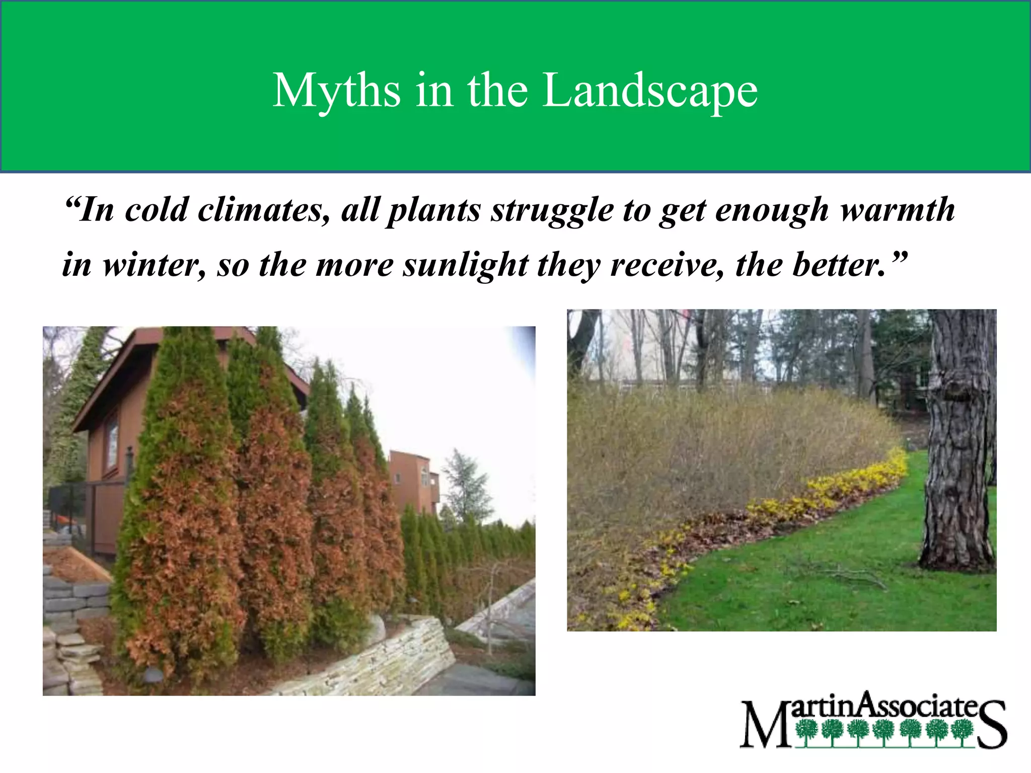 Landscape Myths | PPT