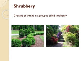 Garden feature, lawn,shrubbery , sunken garden , bog garden , garden ...