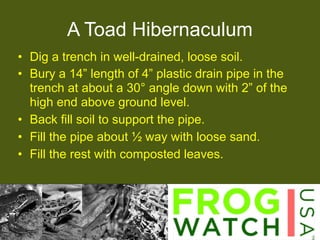 Garden Frogs and Toads - Carroll County Master Gardeners | PPT
