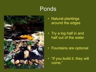 Garden Frogs and Toads - Carroll County Master Gardeners | PPT
