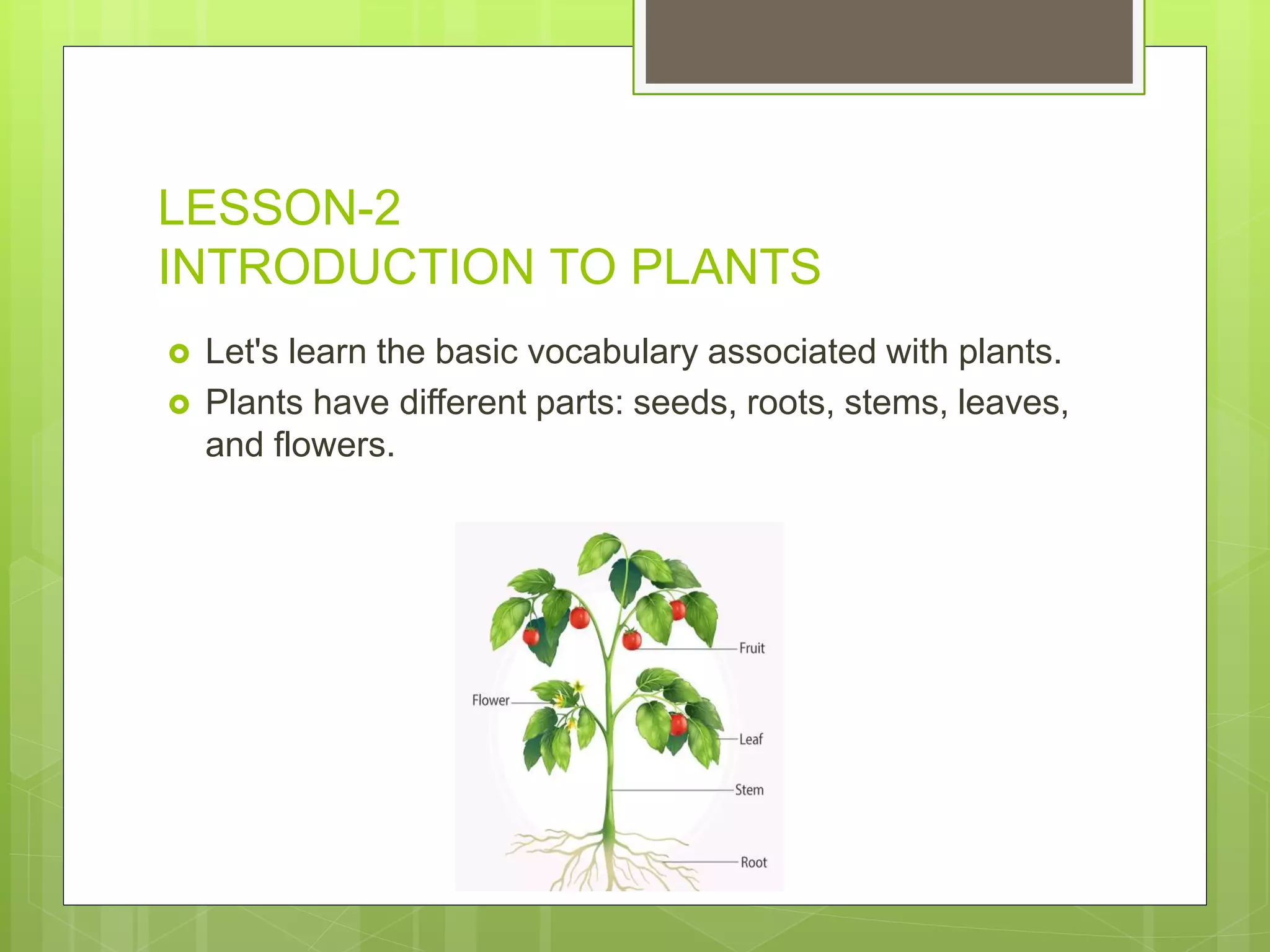 Gardening Course for School Kids.pptx