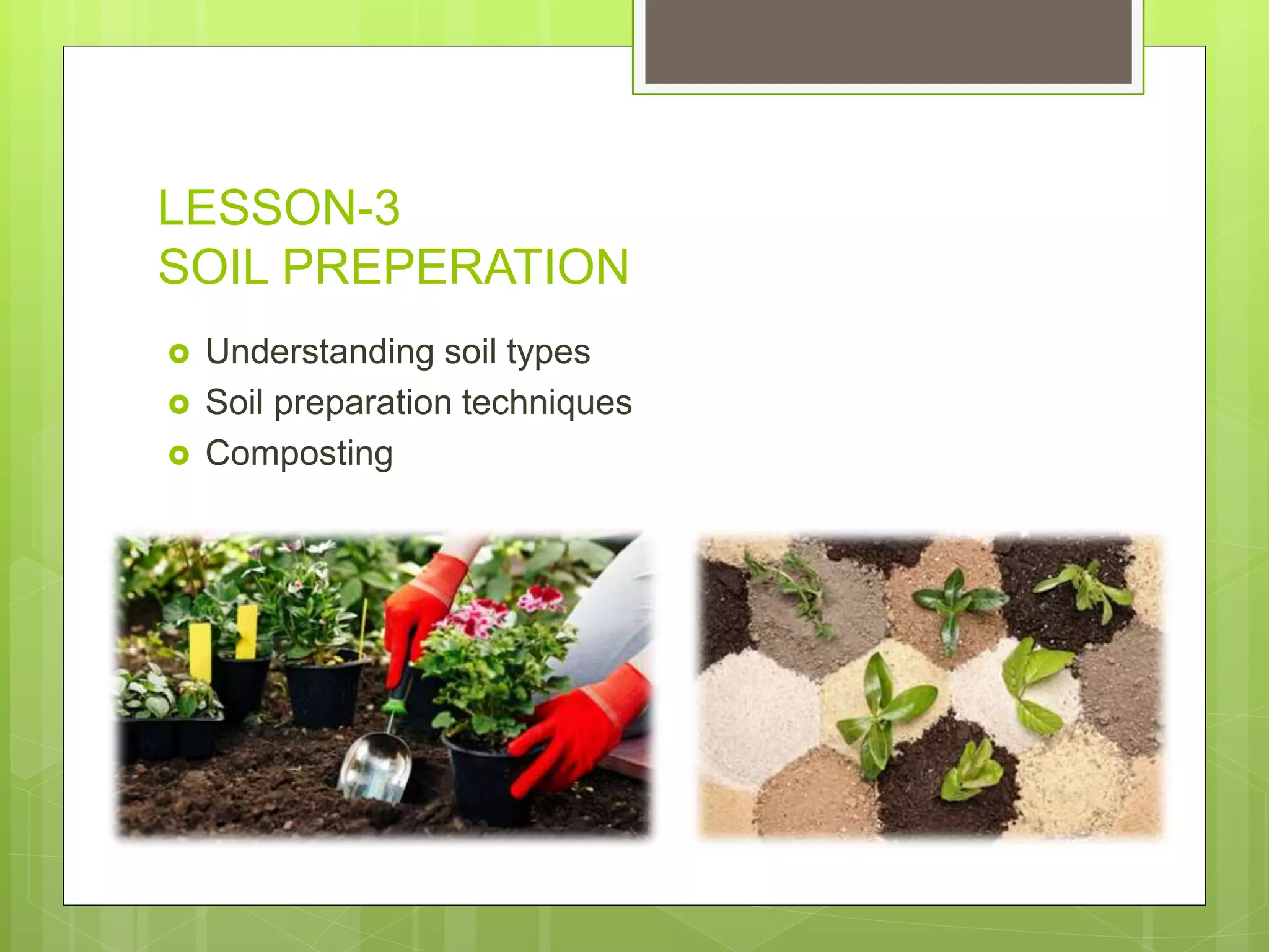 Gardening Course for School Kids.pptx