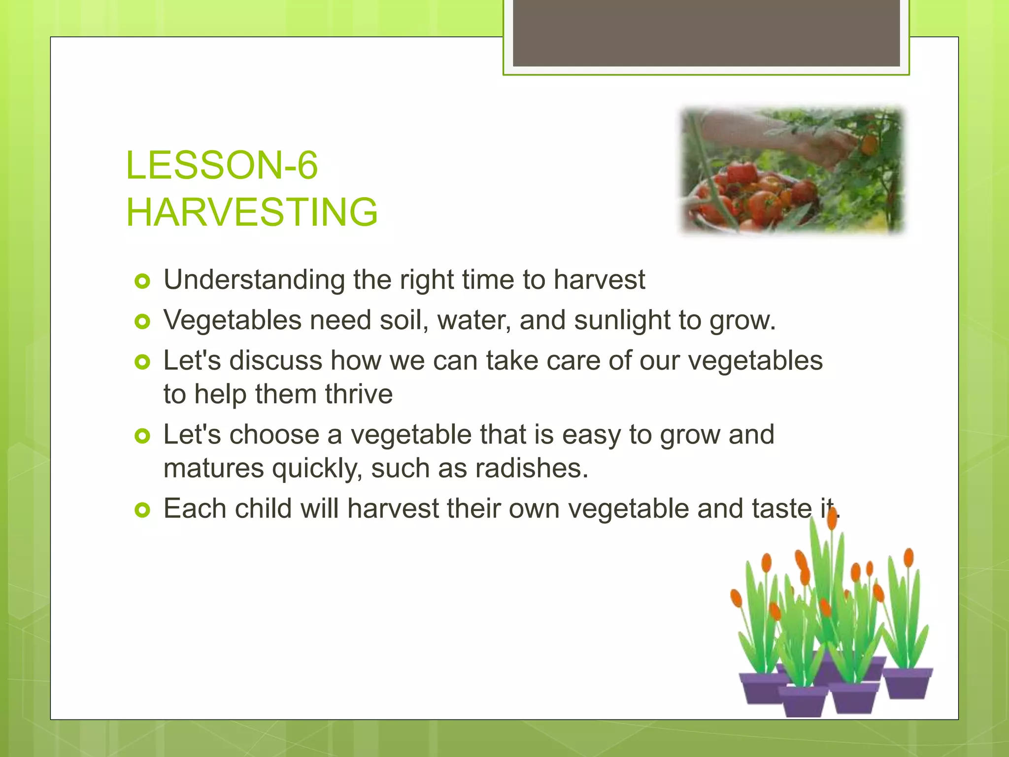 Gardening Course for School Kids.pptx
