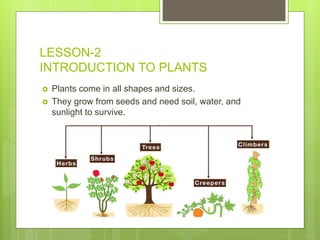 Gardening Course for School Kids.pptx
