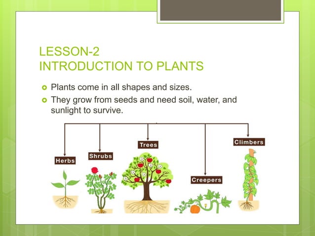 Gardening Course for School Kids.pptx