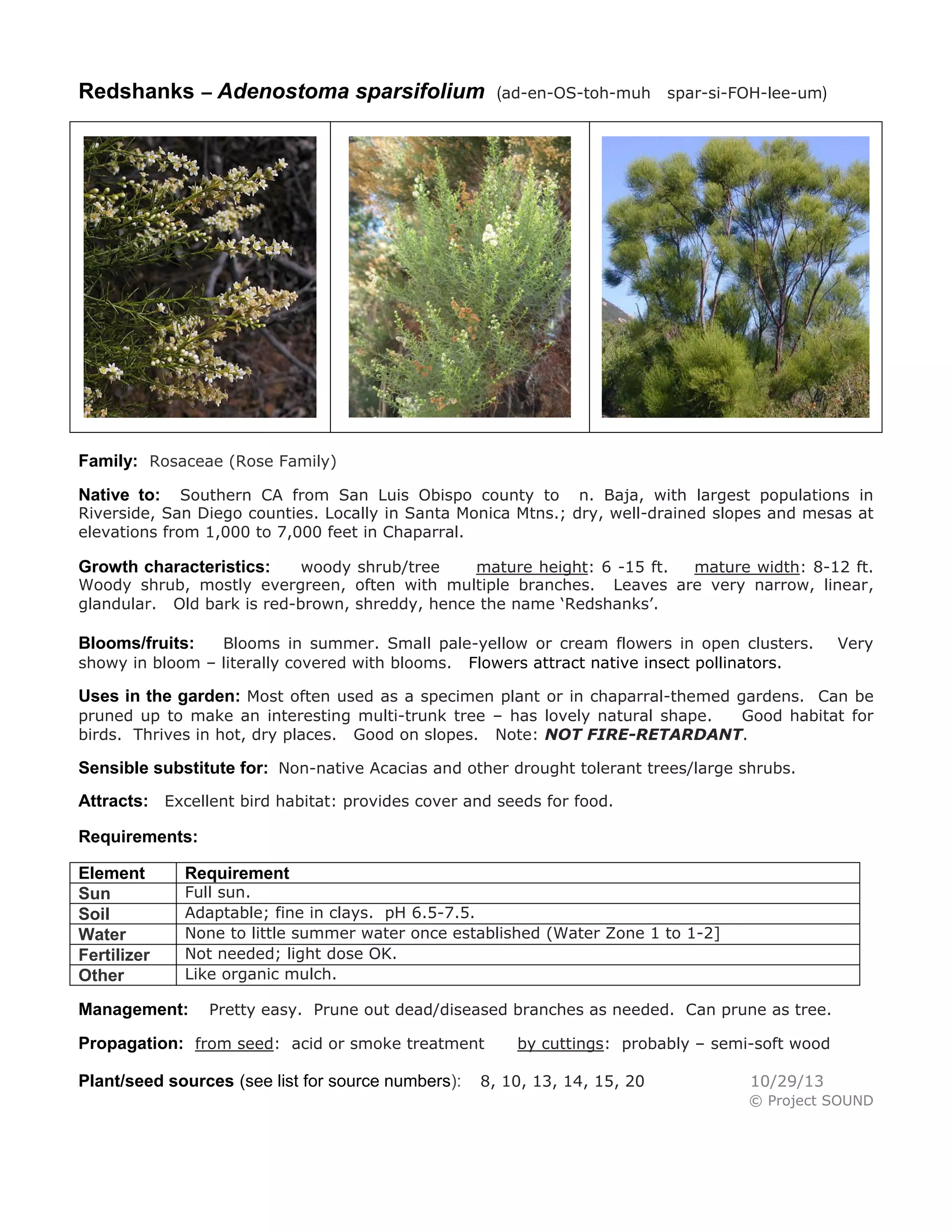 Gardening sheet adenostoma sparsifolium | PDF