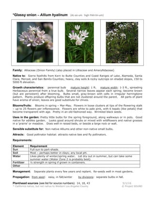 Gardening sheet allium hyalinum | PDF