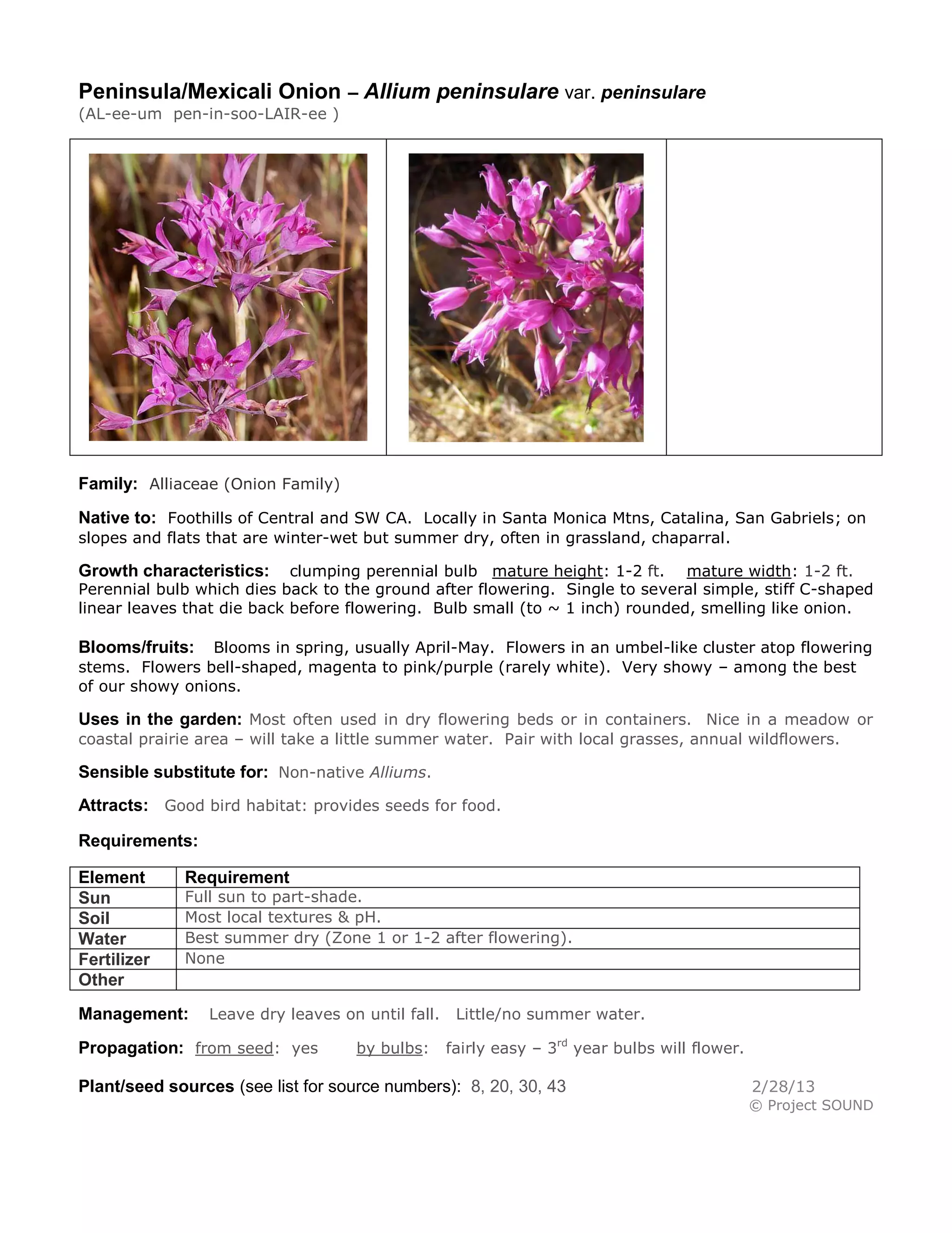 Gardening sheet allium peninsulare | PDF