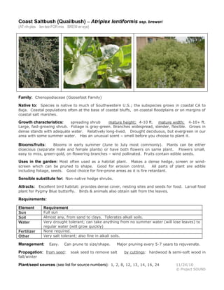 Gardening sheet atriplex lentiformis | PDF