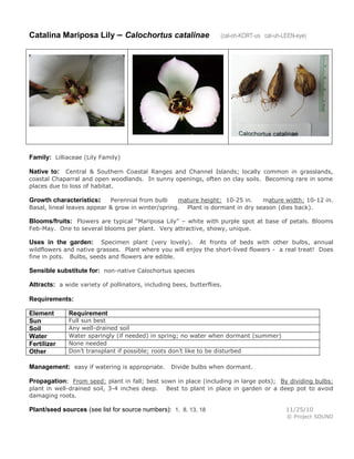 Gardening sheet calochortus catalinae | PDF | Gardening | Home & Garden