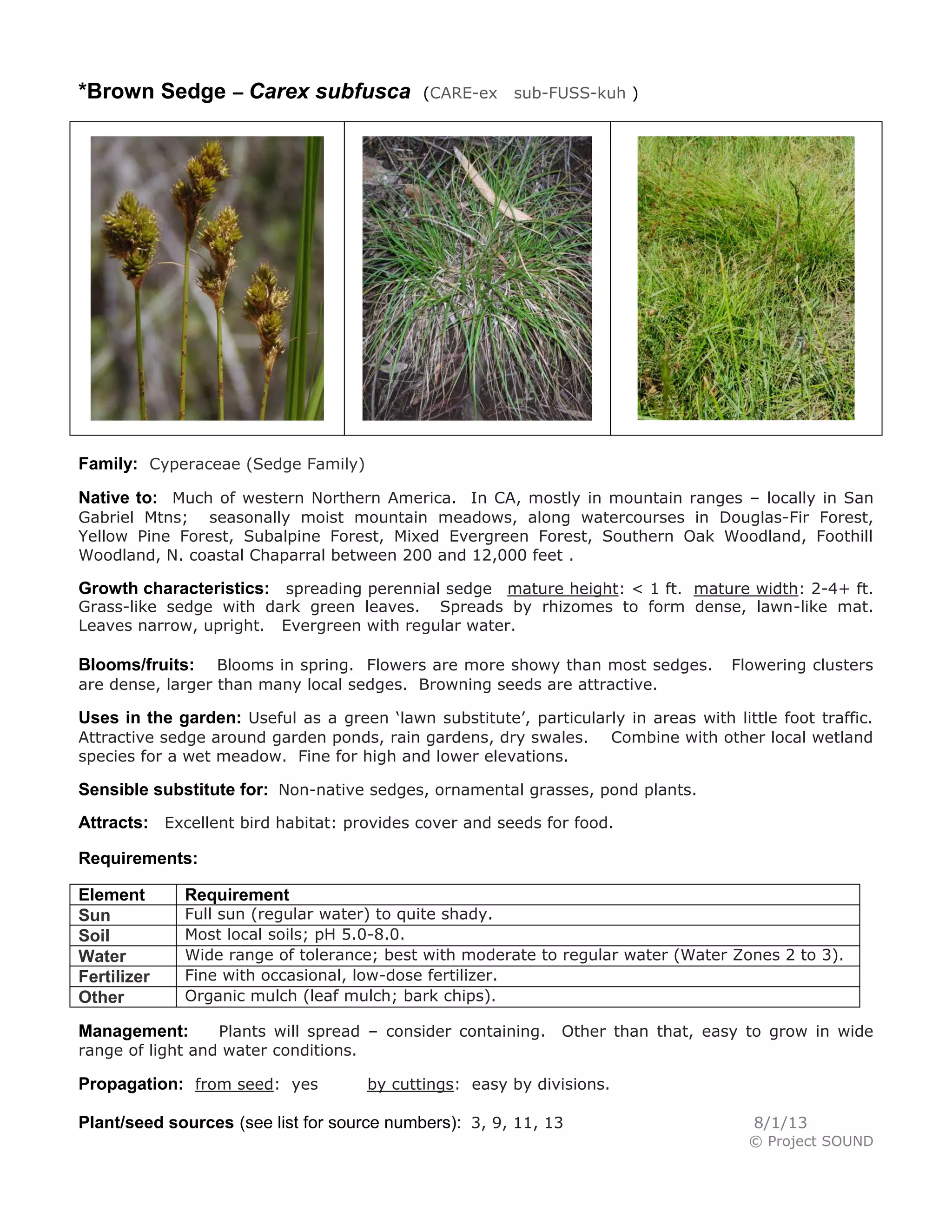 Gardening sheet carex subfusca | PDF