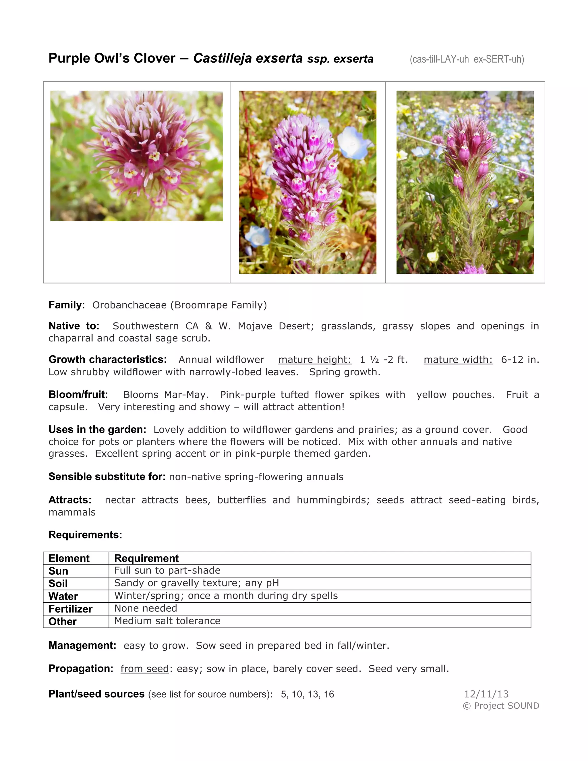 Gardening sheet castilleja exserta | PDF