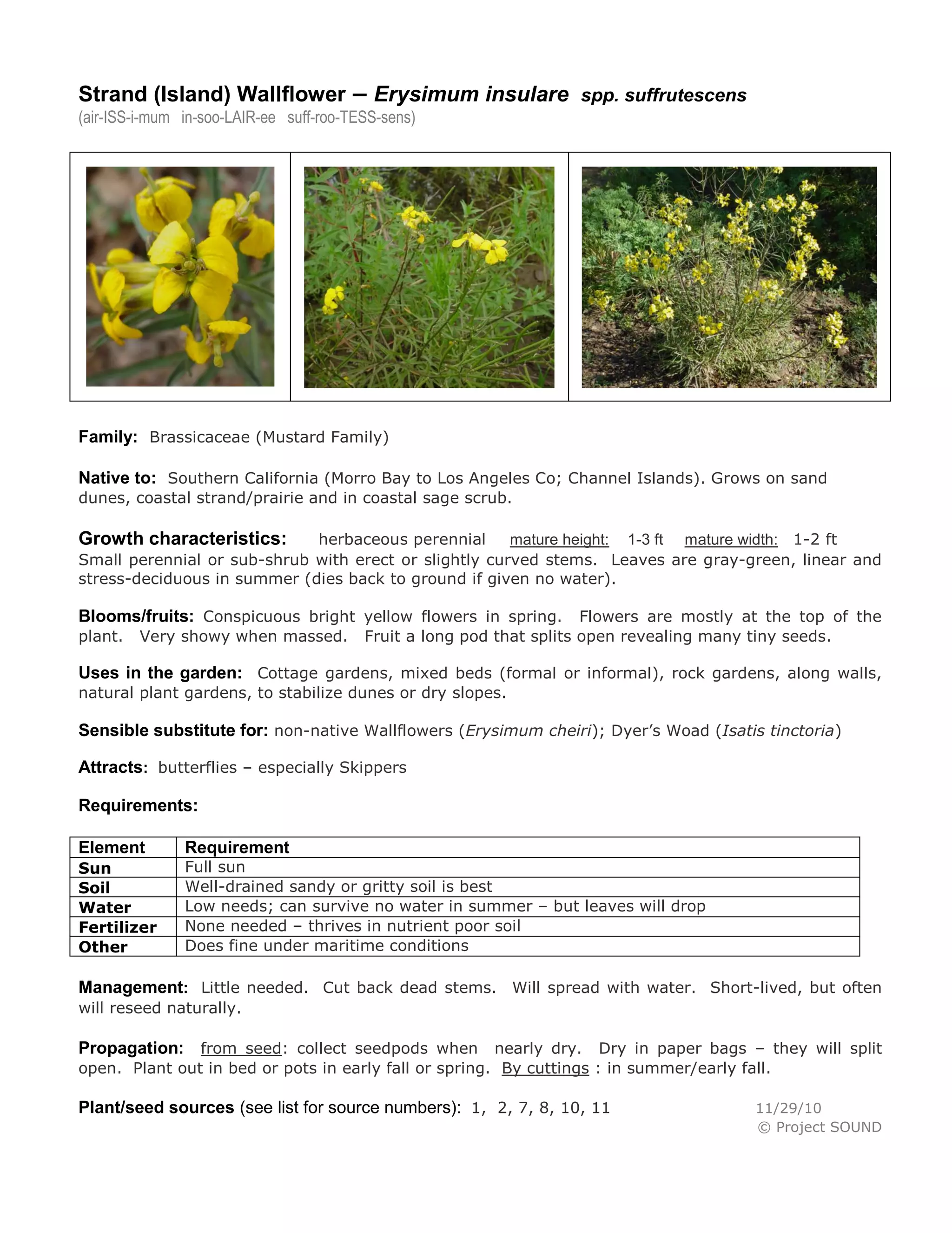 Gardening sheet erysimum insulare | PDF