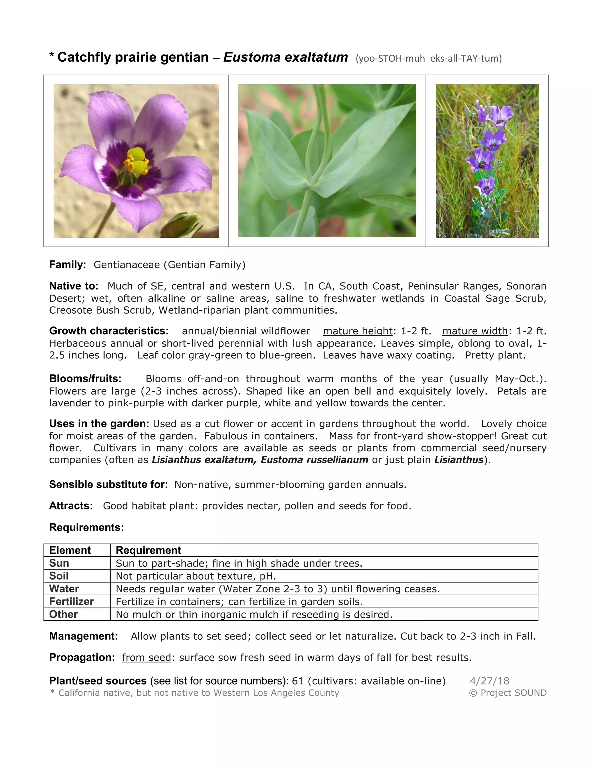 Gardening sheet eustoma exaltatum | PDF