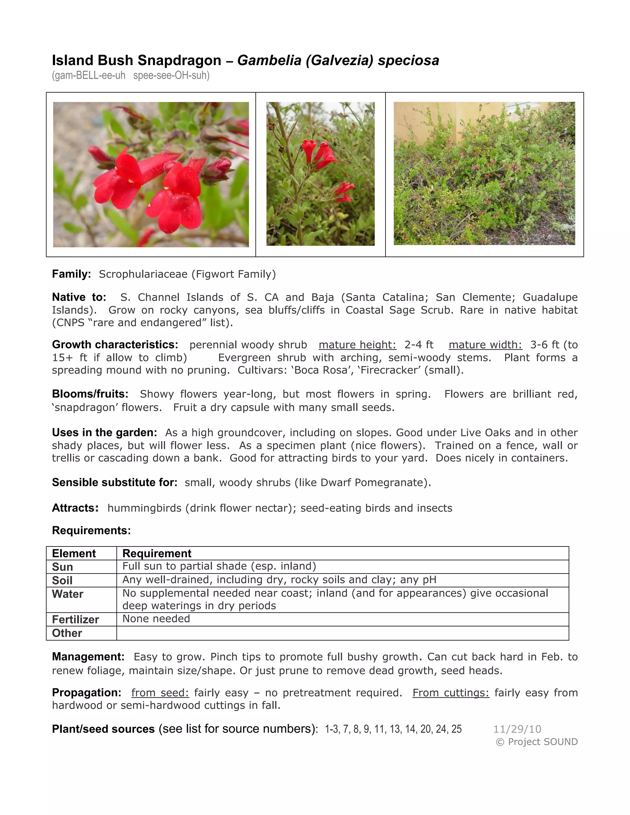 Gardening sheet gambelia speciosa | PDF | Gardening | Home & Garden