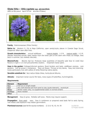 Gardening sheet gilia capitata | PDF