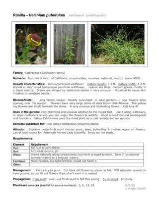 Gardening sheet helenium puberulum | PDF