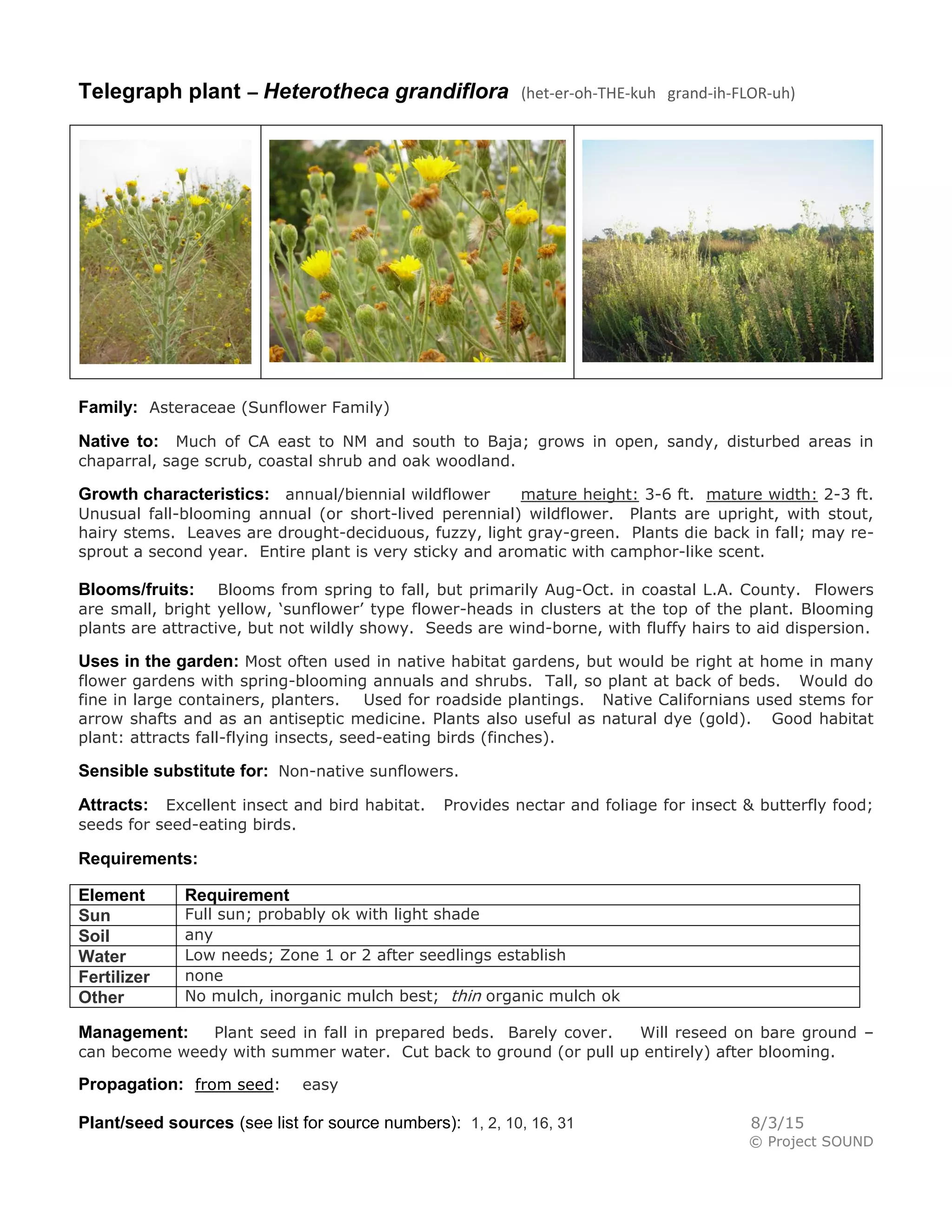 Gardening sheet heterotheca grandiflora | PDF