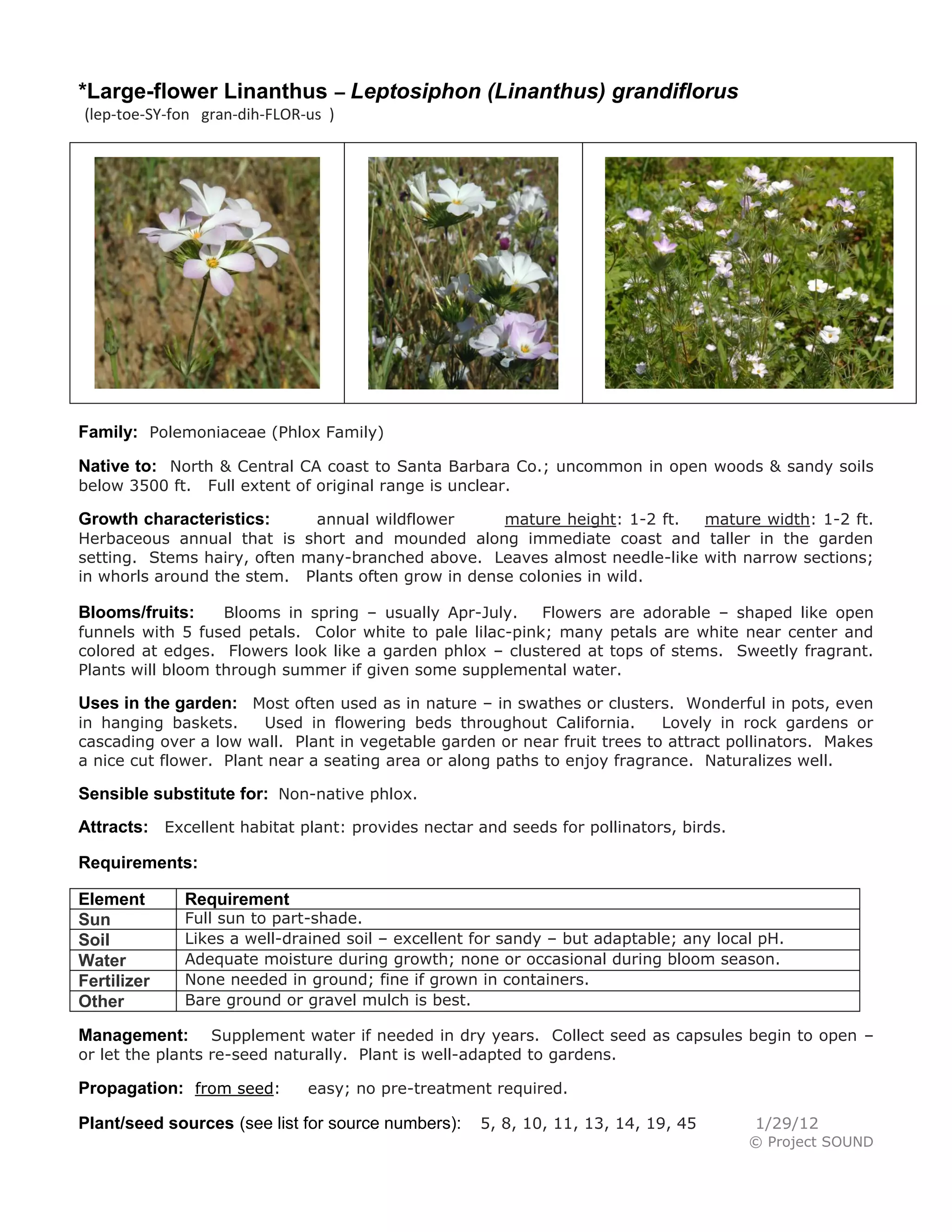 Gardening sheet leptosiphon grandiflorus | PDF
