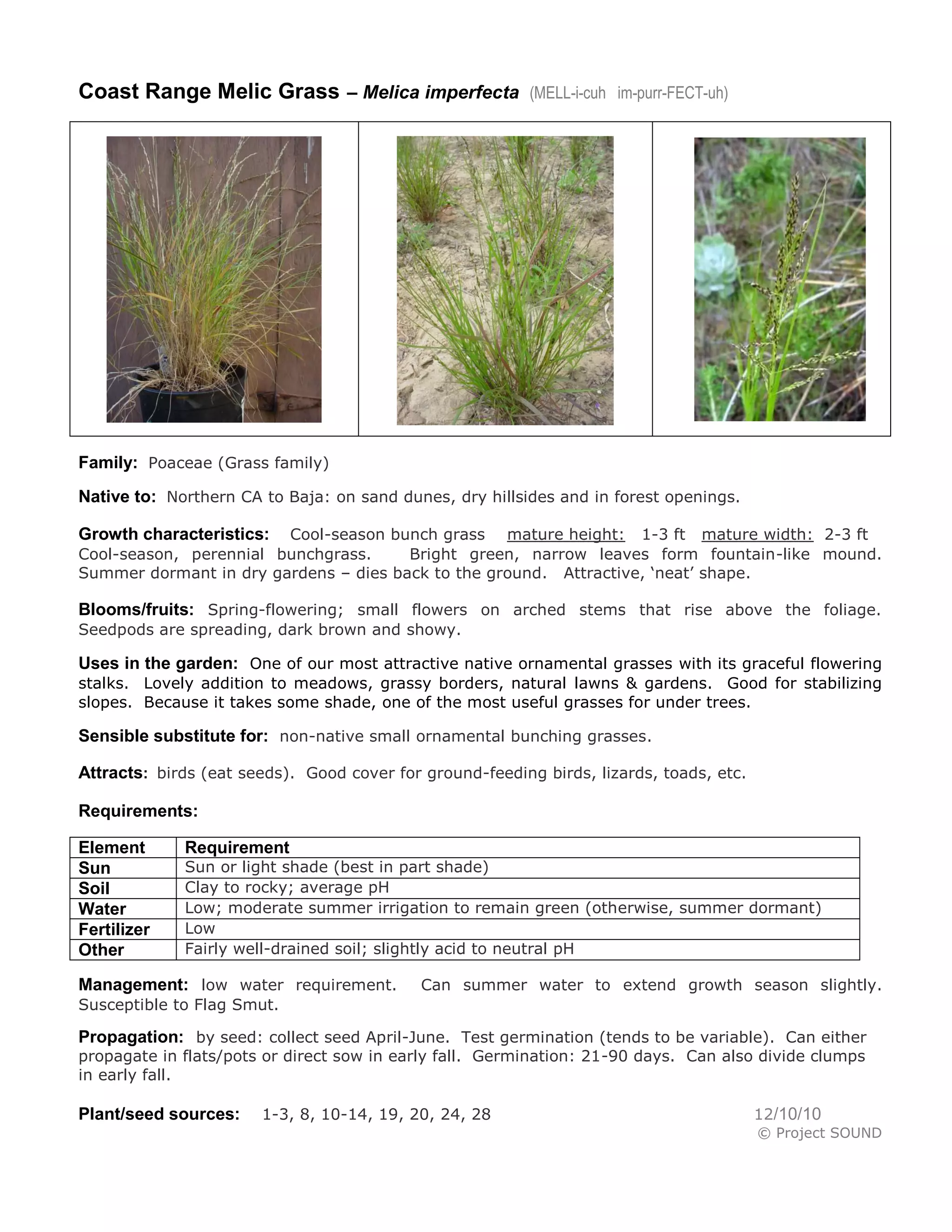 Gardening sheet melica imperfecta | PDF