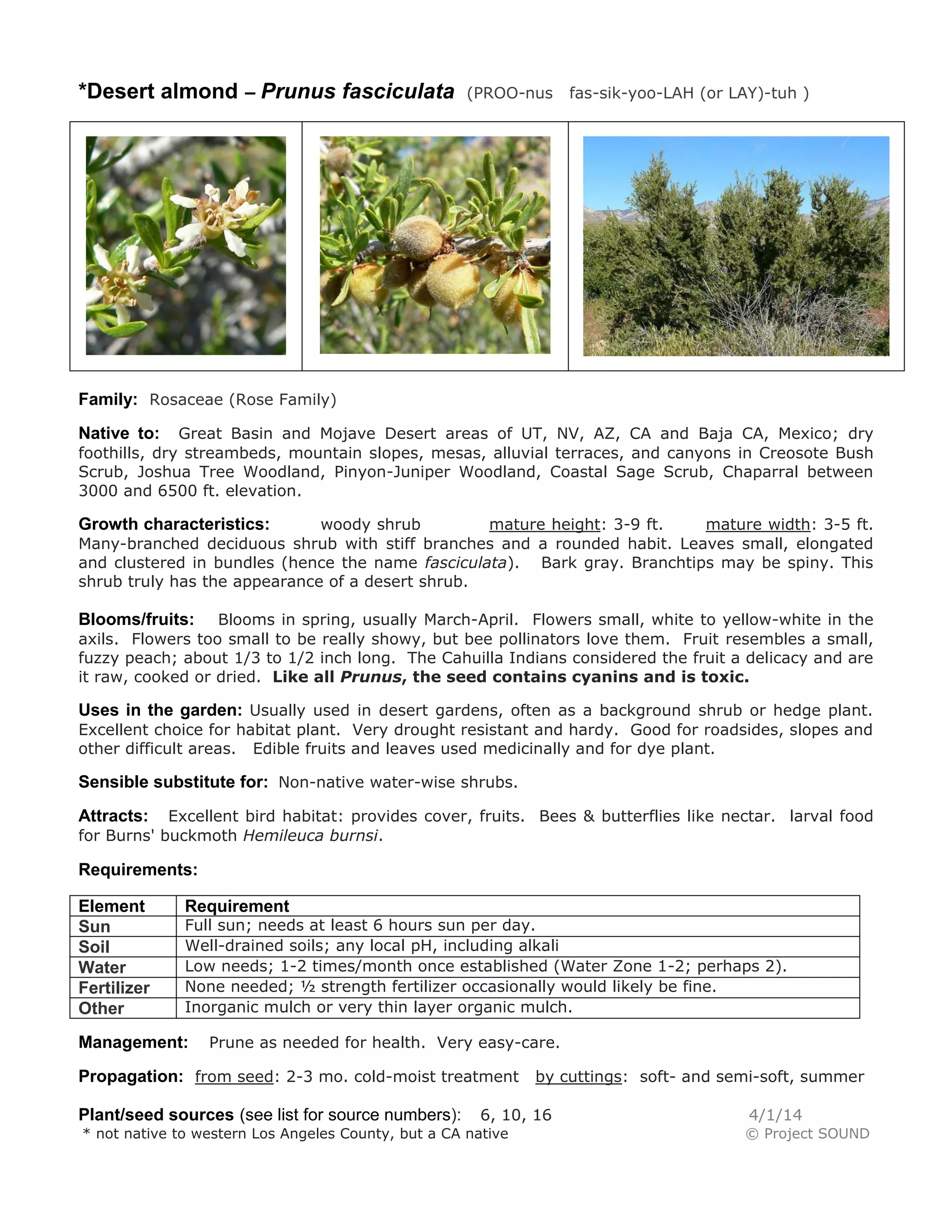 Gardening sheet prunus fasciculata | PDF