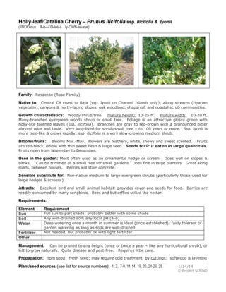 Gardening sheet prunus ilicifolia | PDF