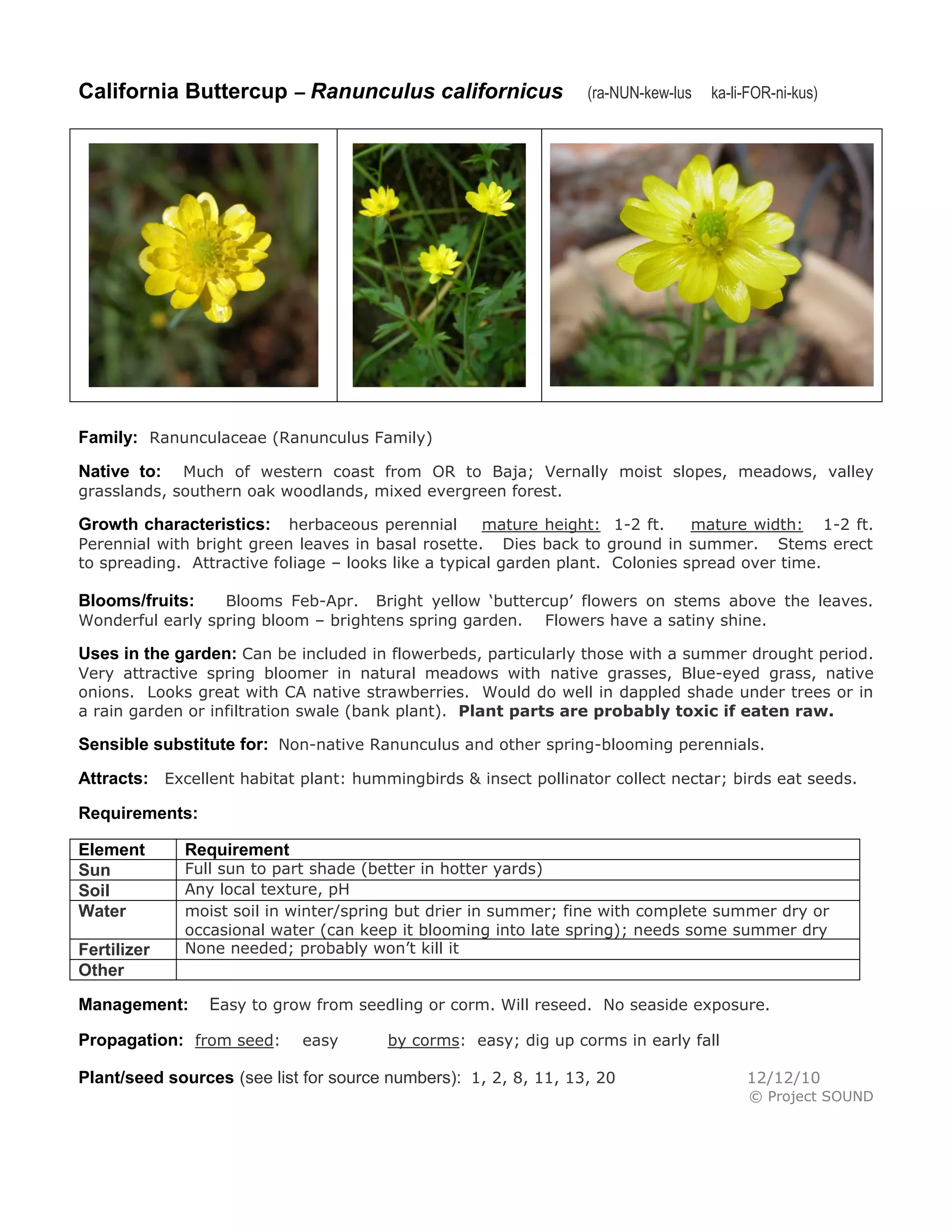 Gardening sheet ranunculus californicus | PDF