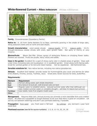 Gardening sheet ribes indecorum | PDF | Birdwatching | Hobbies & Interests