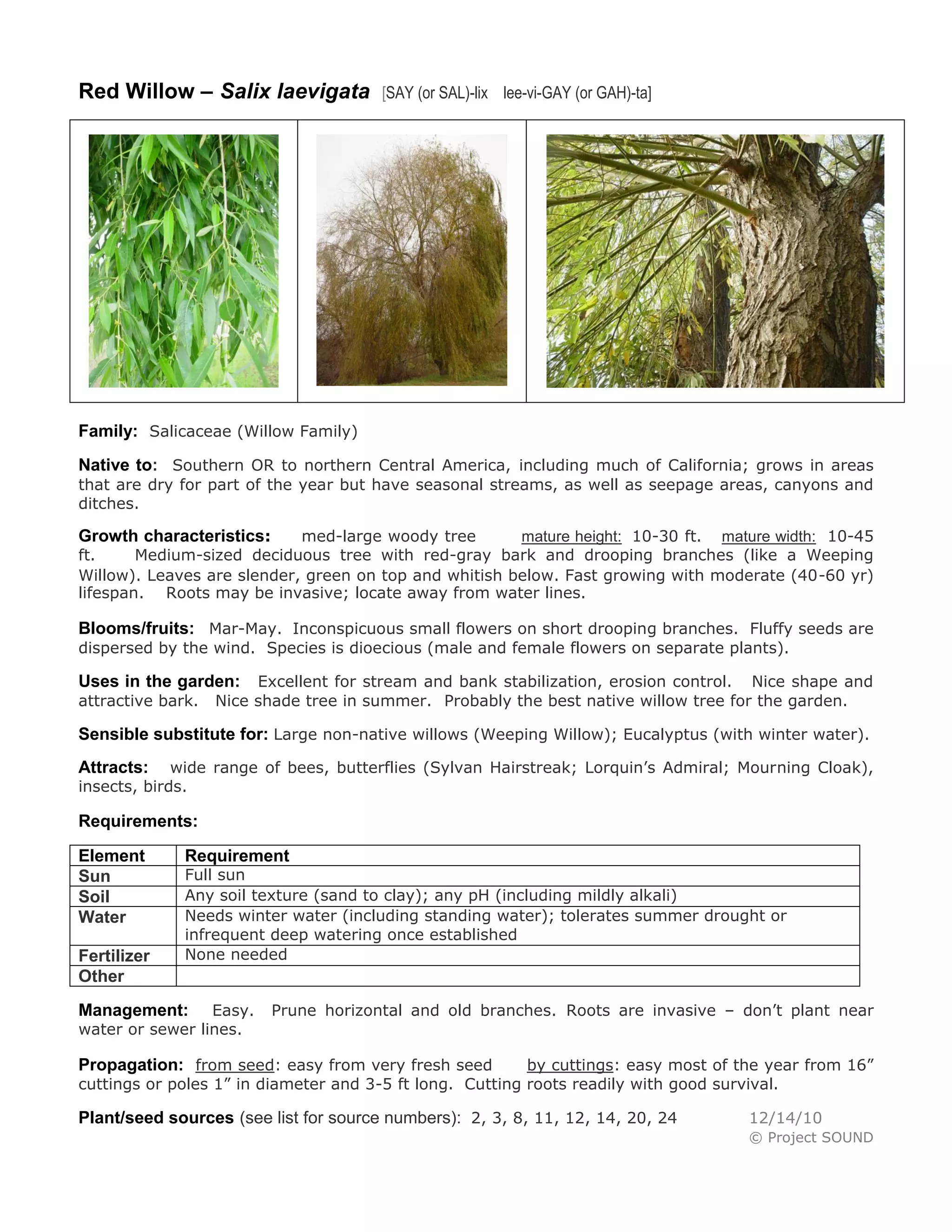 Gardening sheet salix laevigata | PDF