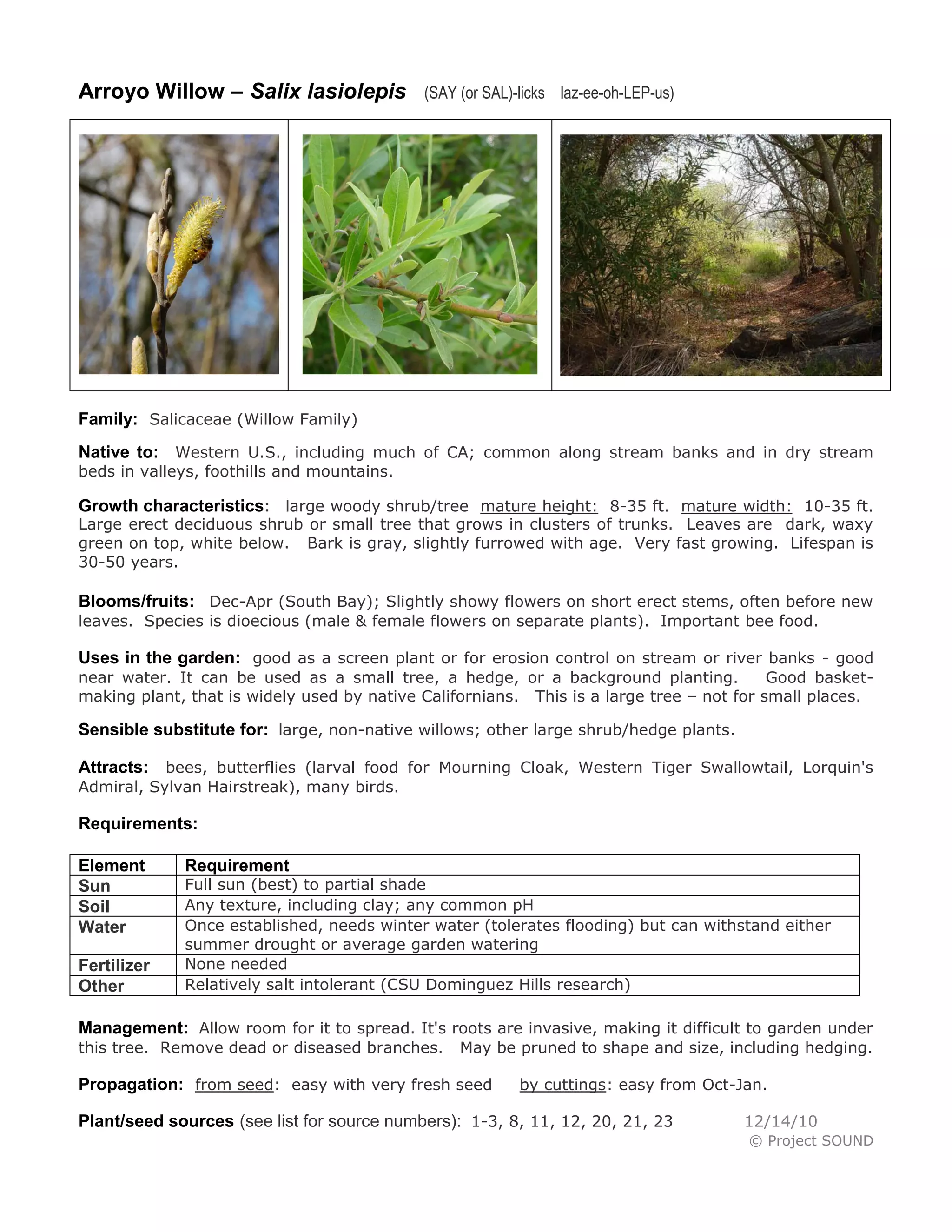 Gardening sheet salix lasiolepis | PDF