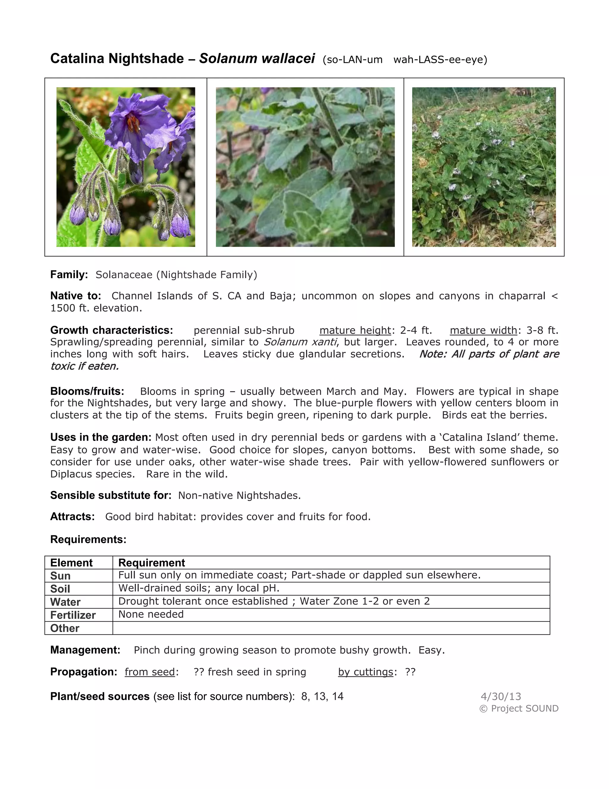 Gardening sheet solanum wallacei | PDF