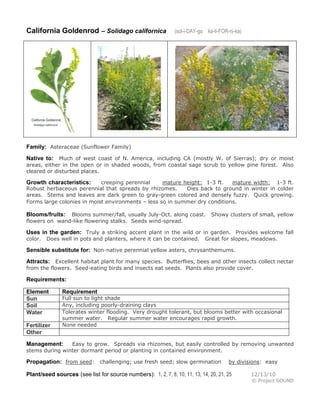 Gardening sheet solidago californica | PDF