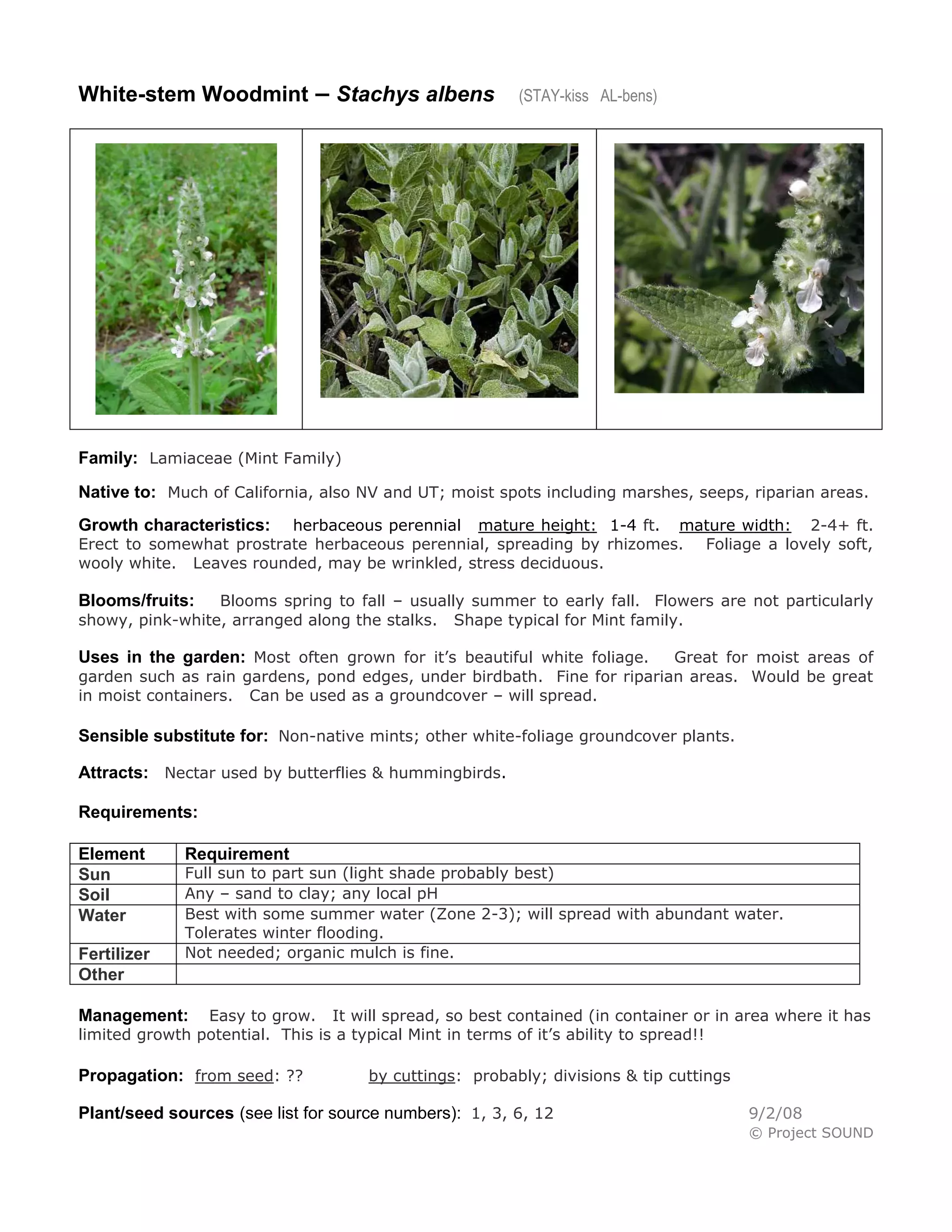 Gardening sheet stachys albens | PDF