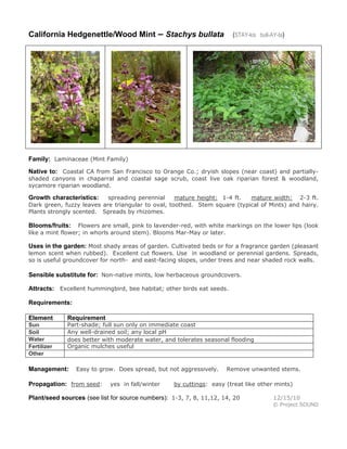 Gardening sheet stachys bullata | PDF