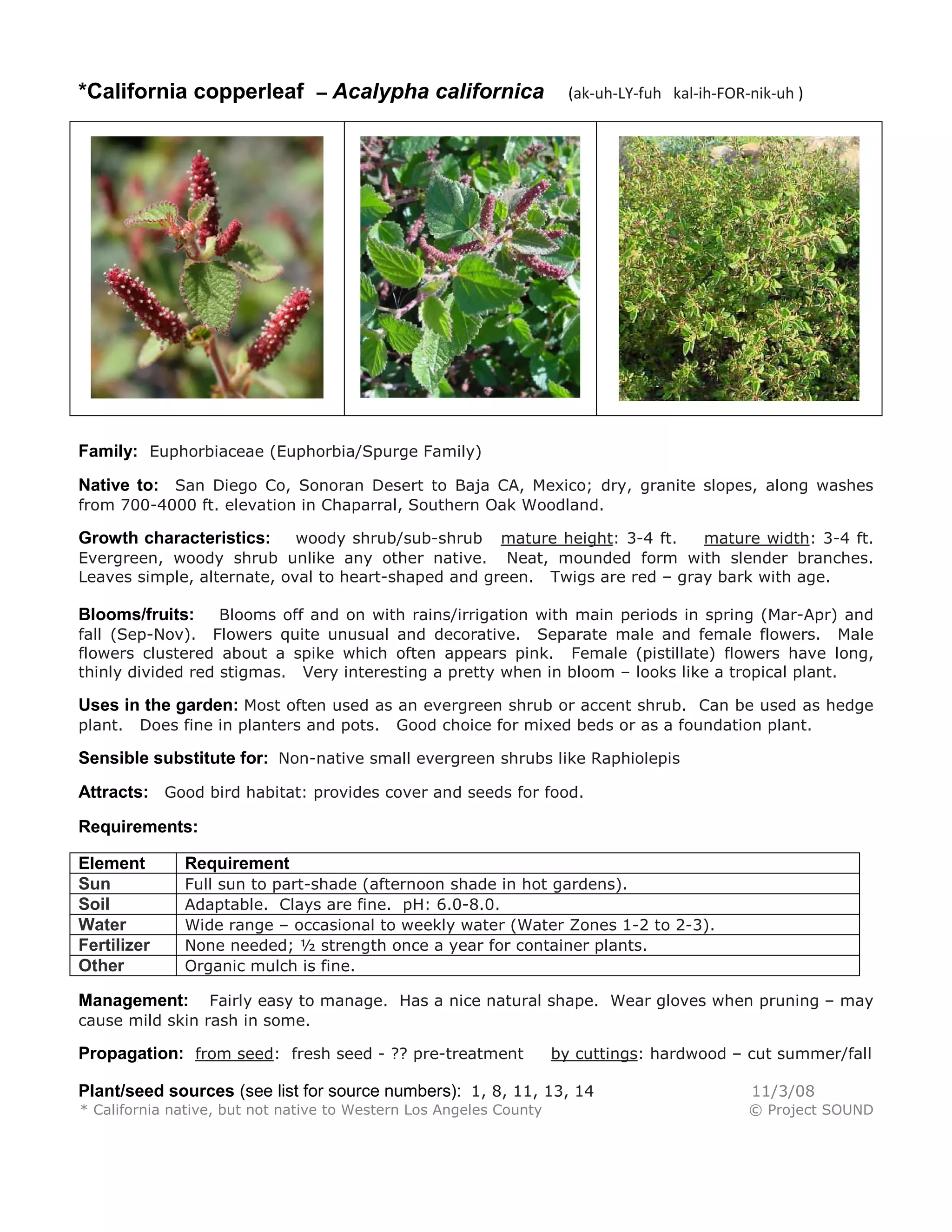 Gardening sheets evergreen shrubs | PDF