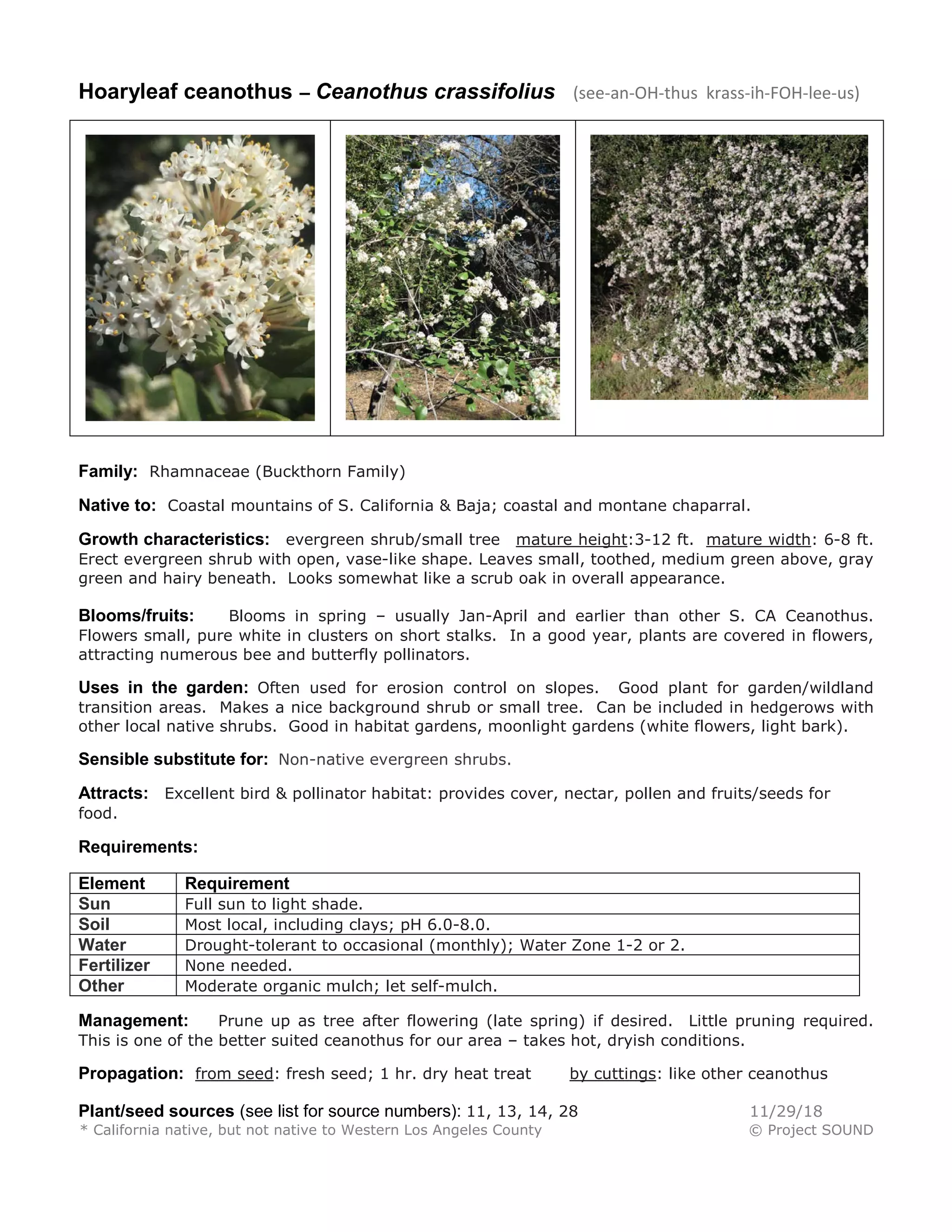 Gardening sheets evergreen shrubs | PDF