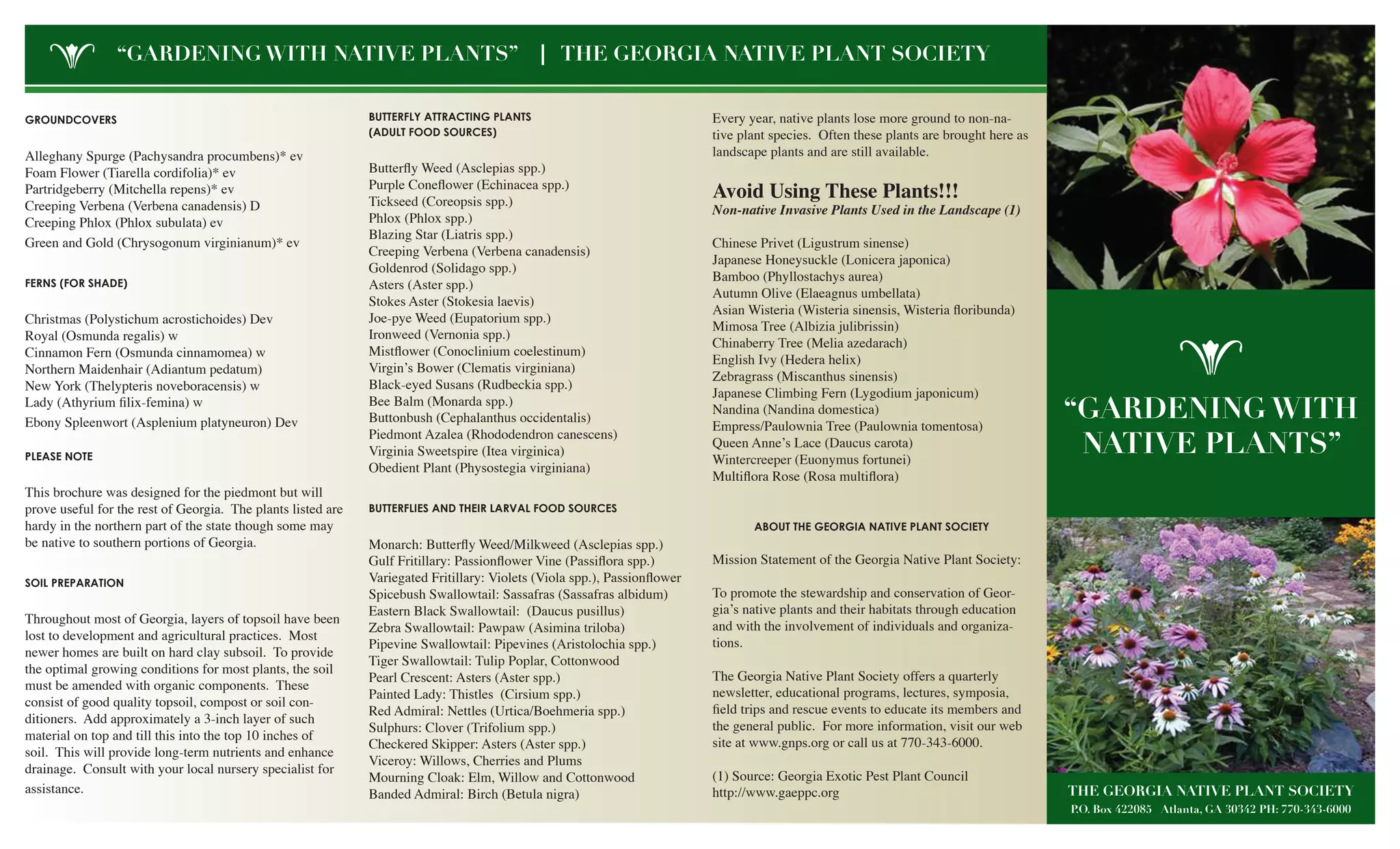 Gardening with Native Plants - Georgia Nativfe Plant Society | PPT