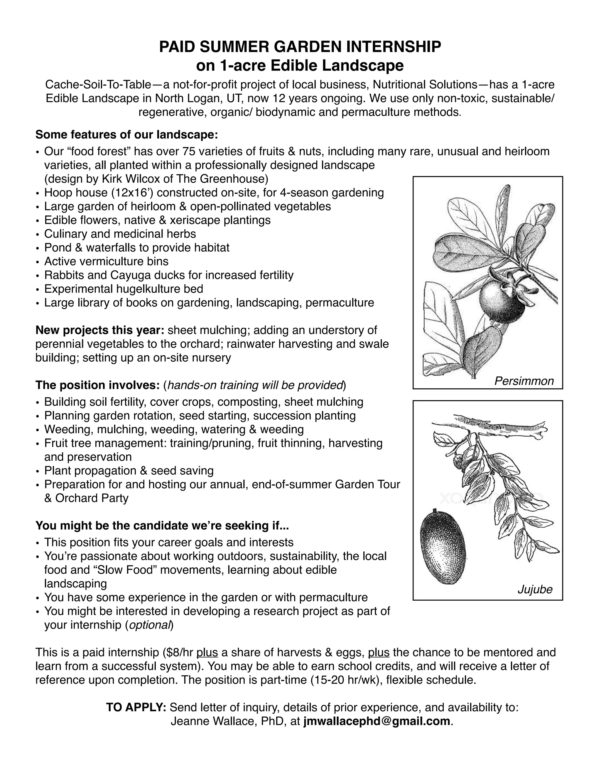 Garden internship 2015 | PDF