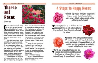 Garden Magazine DIY Article | PDF | Gardening | Home & Garden