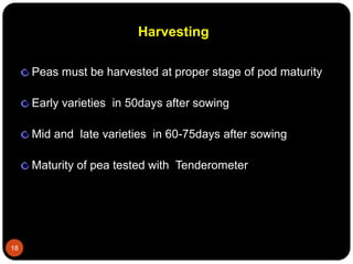 Production technology of garden pea | PPTX