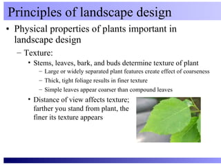 Garden principals of landscapimg | PPT