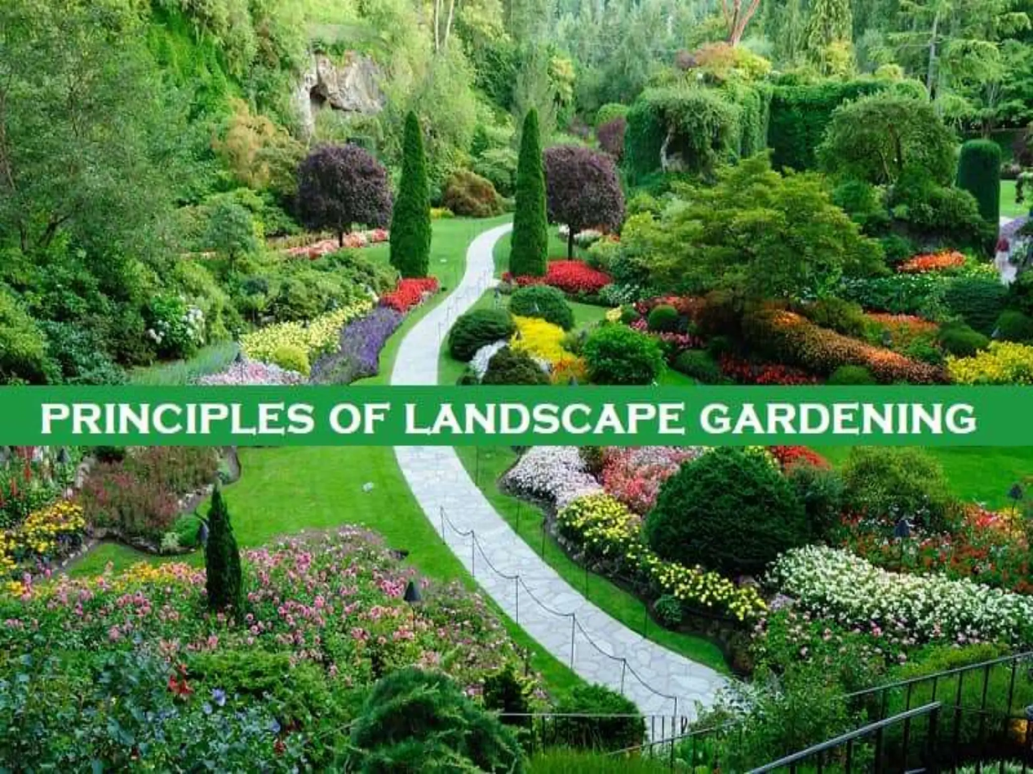 Garden principles consider these principle while designing garden.pptx