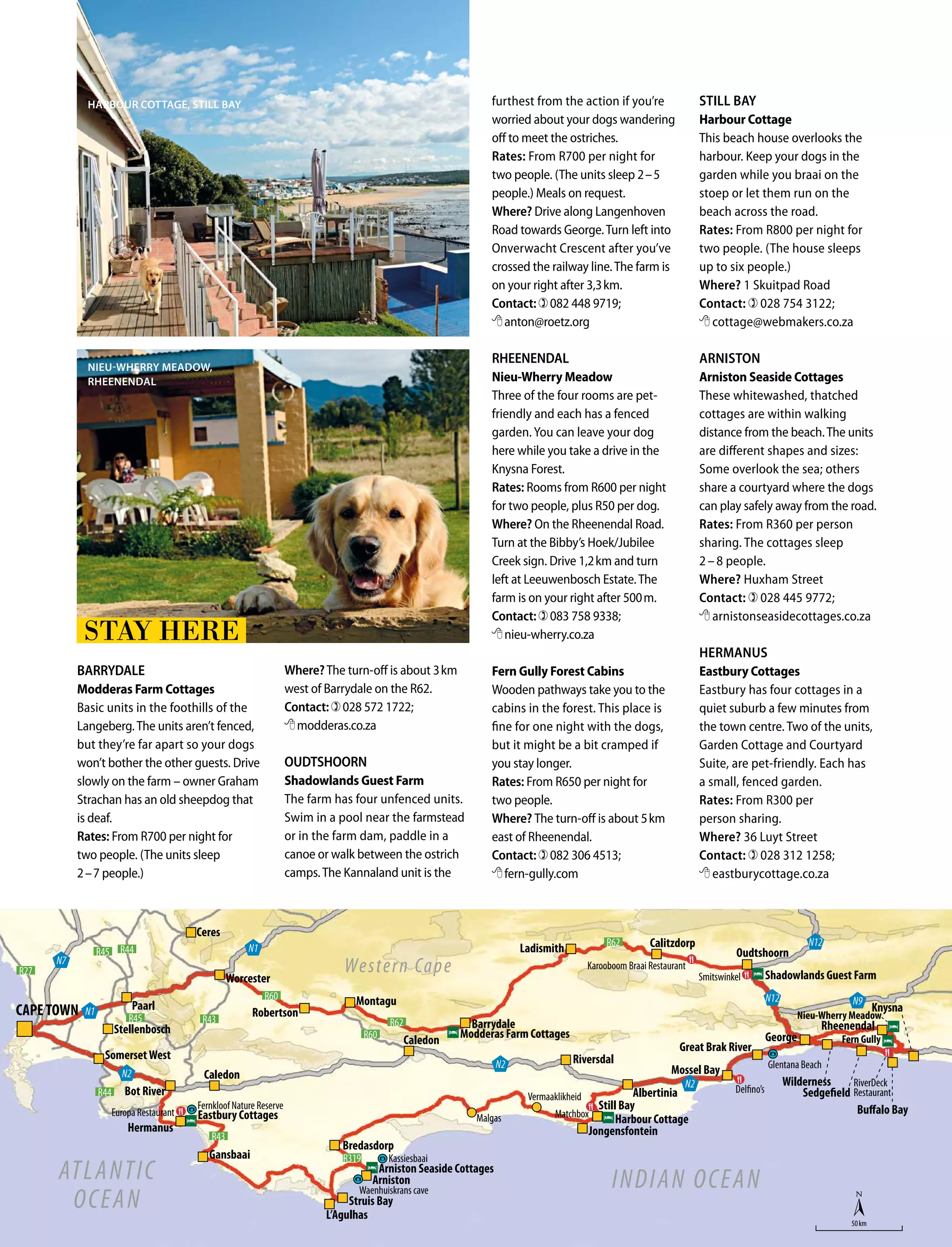 Holiday with your hound | PDF