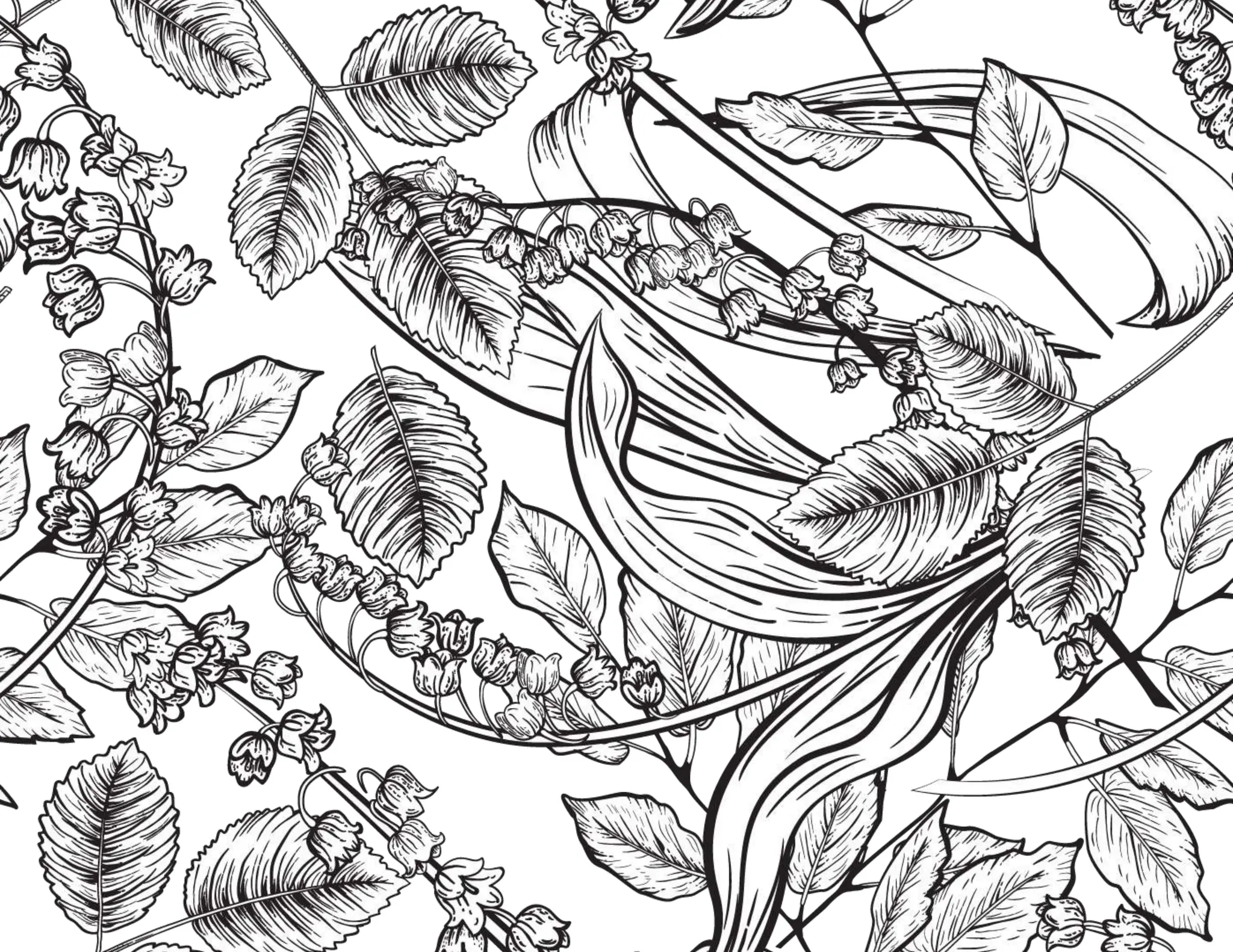 Gardens coloring book.pptx