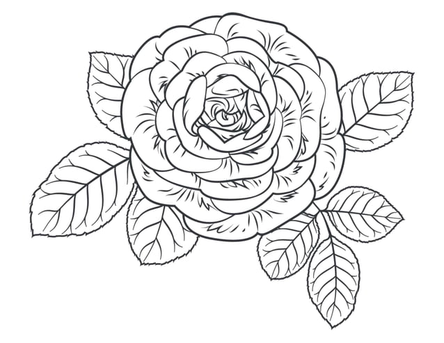 Gardens coloring book.pptx