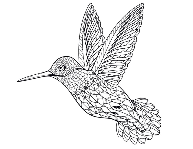 Gardens coloring book.pptx