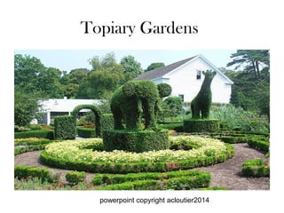 Gardens From Around the World | PPT | Gardening | Home & Garden