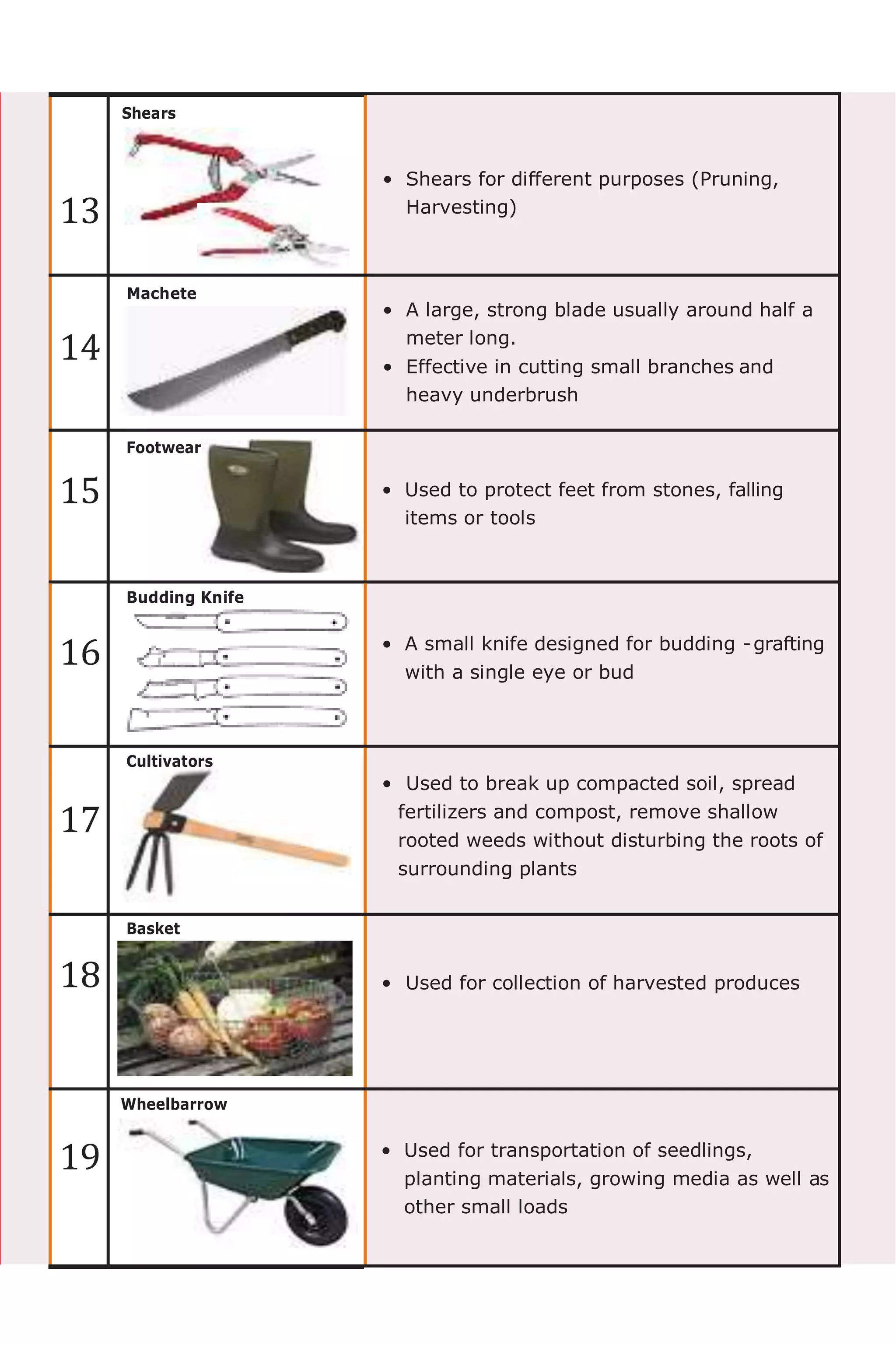Garden Tools and Uses.docx