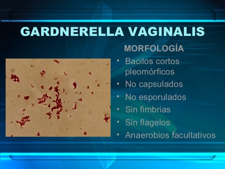 Gardnerella